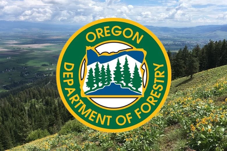 The Roseburg Receiver News